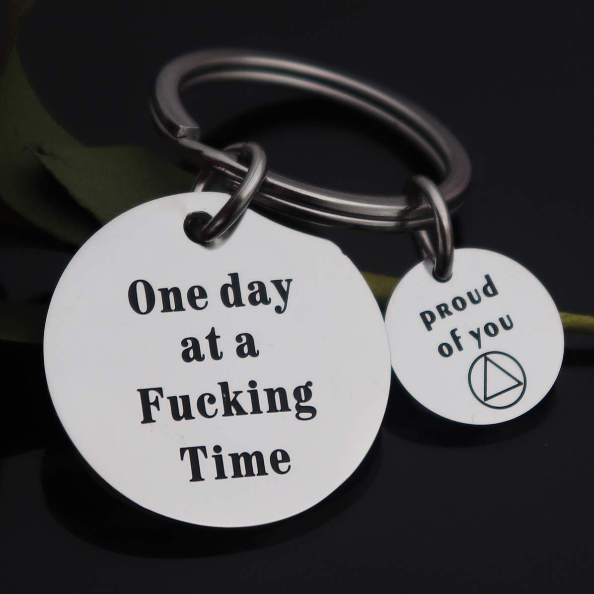 CHENVA Sobriety Gift One Day at a Time Keychain Addiction Recovery Gift Sobriety Gift for Women Men (One day at a fucking time (A))