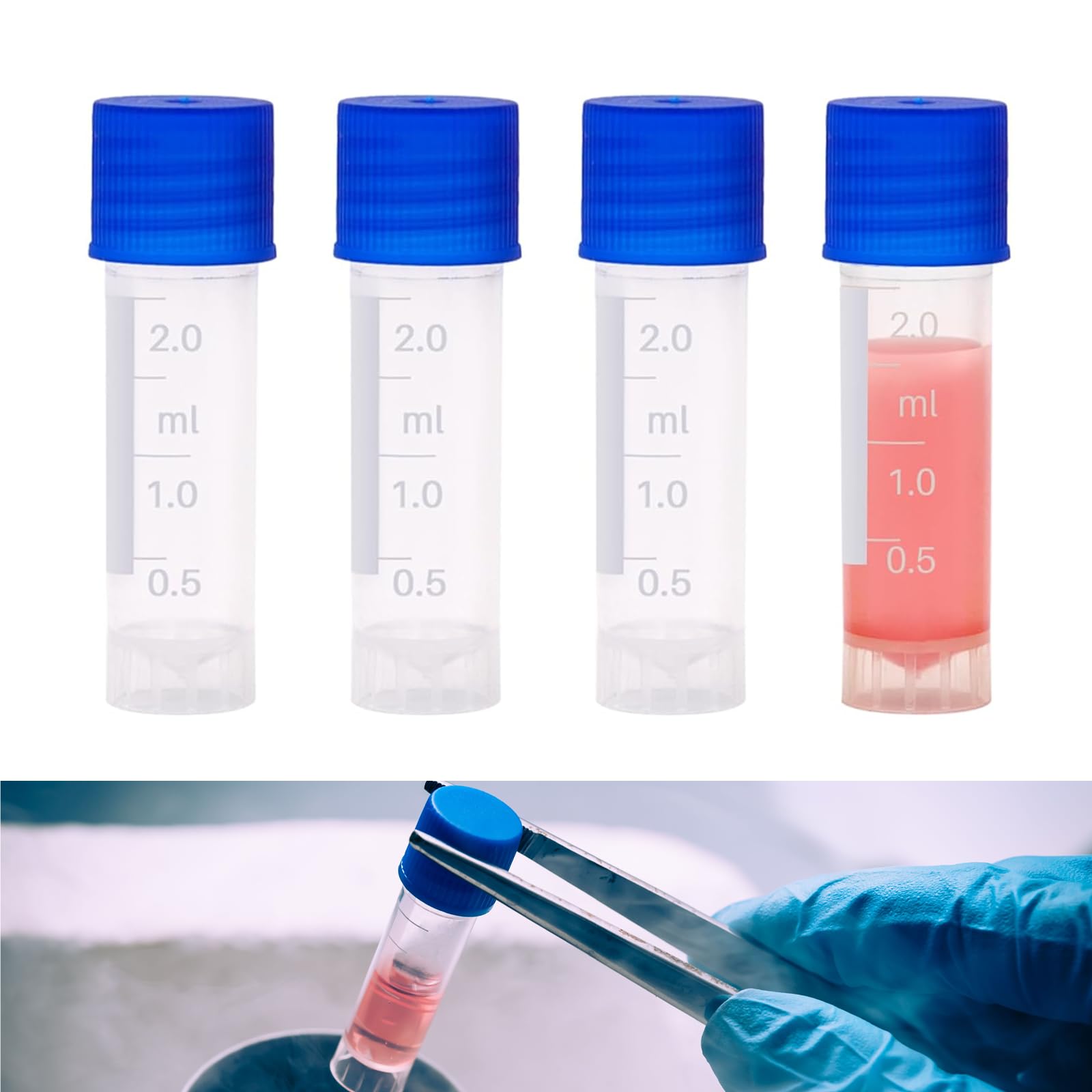 Estresen 2ml 500PCS Cryo Tubes, Cryogenic Vial, Cryovial Tubes, Frozen Test Tubes, Plastic Self-Standing Tubes with Screw Caps, for Long Term Freezing