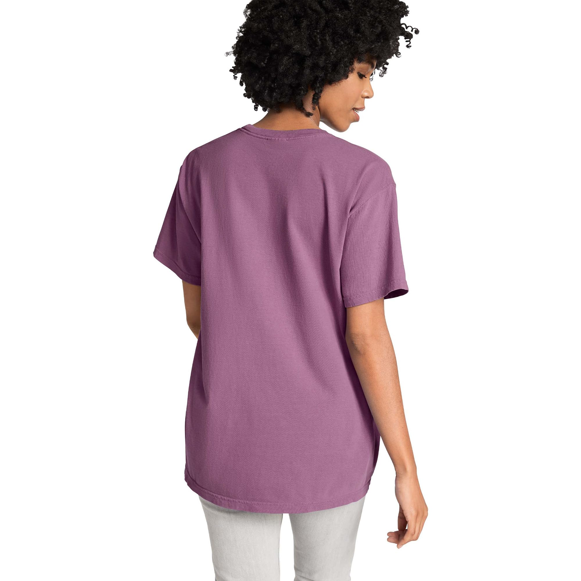 Comfort Colors Adult Short Sleeve Tee, Style G1717, Berry (2-pack), Large