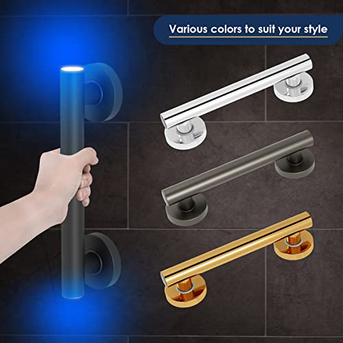 evekare 24 Inch Innovative Grab Bars for Bathtubs and Showers | with Integrated LED Night Light | Grab Bars for Elderly and Disabled | 1.25 Inch Diameter Stainless Steel in Matte Black