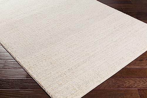 Livabliss Anya Neutral and Gray Shag Area Rug 2'6" x 8'