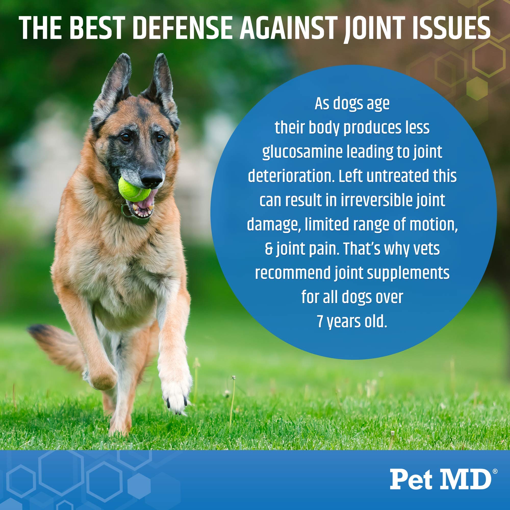 Pet MD Salmon Oil Omega 3 + Advanced Hip & Joint