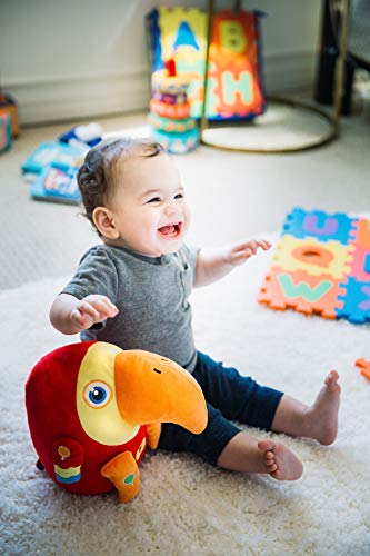 Vocabularry Interactive by babyfirst tv - Interactive Toy, Stuffed Animal Plush Toy, A for Baby's First Birthday or Baby Shower, Infant…