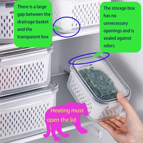 Set of 5 with Drain Basket Fruit Storage Containers , King Size to Mini Tall Airtight Fridge Fresh Produce organizer , used for food Frozen Vegetable and Salad, refrigerator veggie saver keeper