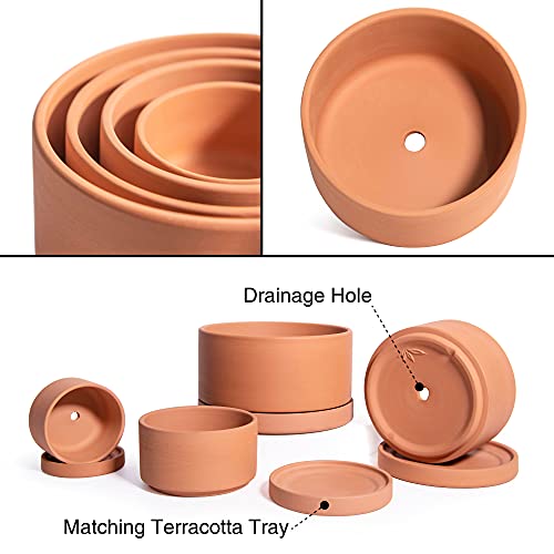 D'vine Dev Set of 4 Terracotta Shallow Planter Pots for Succulent, 3 Inch 4 Inch 5 Inch 6 Inch, Small Flower Plant Pots with Drainage and Saucer, 40-D-L-1