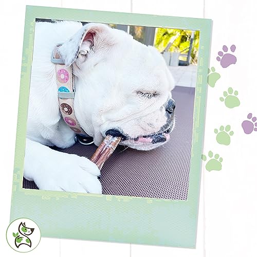 Nature Gnaws Mixed Bully Sticks for Small Dogs - Premium Natural Tasty Beef Bones - Simple Long Lasting Dog Chew Treats - Rawhide Free - 6 Inch