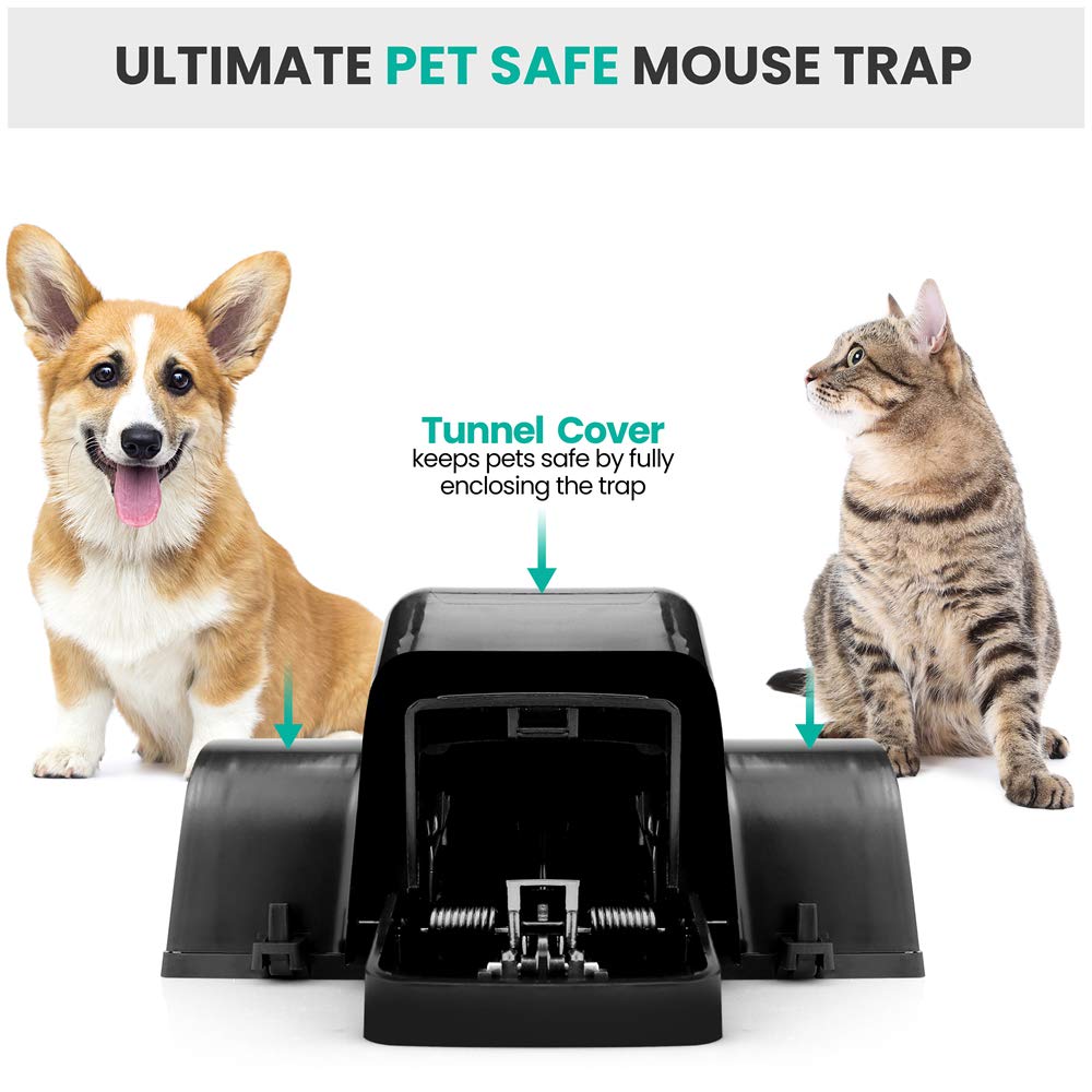 eXuby Pet-Safe & Child-Safe Rat Traps w/Tunnel Design (3-Pack) β Dual Entry for Better Capture Rate - No Harmful Poison - Prevents Accidental Triggering - Avoid Finger Snapping - Setup in Seconds