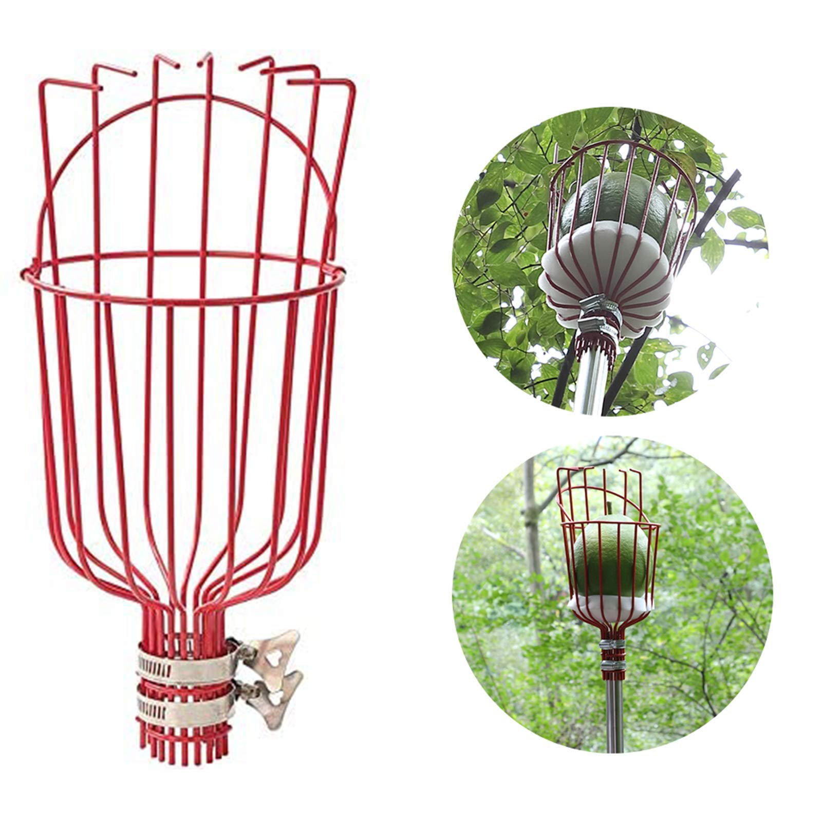 DIIG Fruit Picker, 5.5 Foot Fruit Picker Tool with Stainless Steel Connecting Pole, Fruit Picking Equipment for Getting Fruits Lemons Apples Guavas Avocados Pears Mangoes Oranges