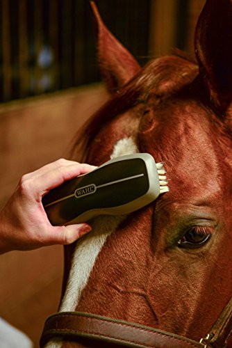 WAHL Professional Animal Equine Grooming Face Horse Brush, Black (858707)