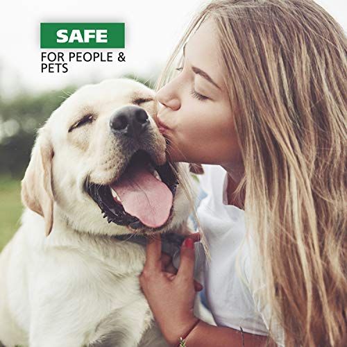 WAHL Scent Free Pet Odor Neutralizer Spray for Dogs Skin and Coat Perfect for Between Baths β 8 oz β Model 820012