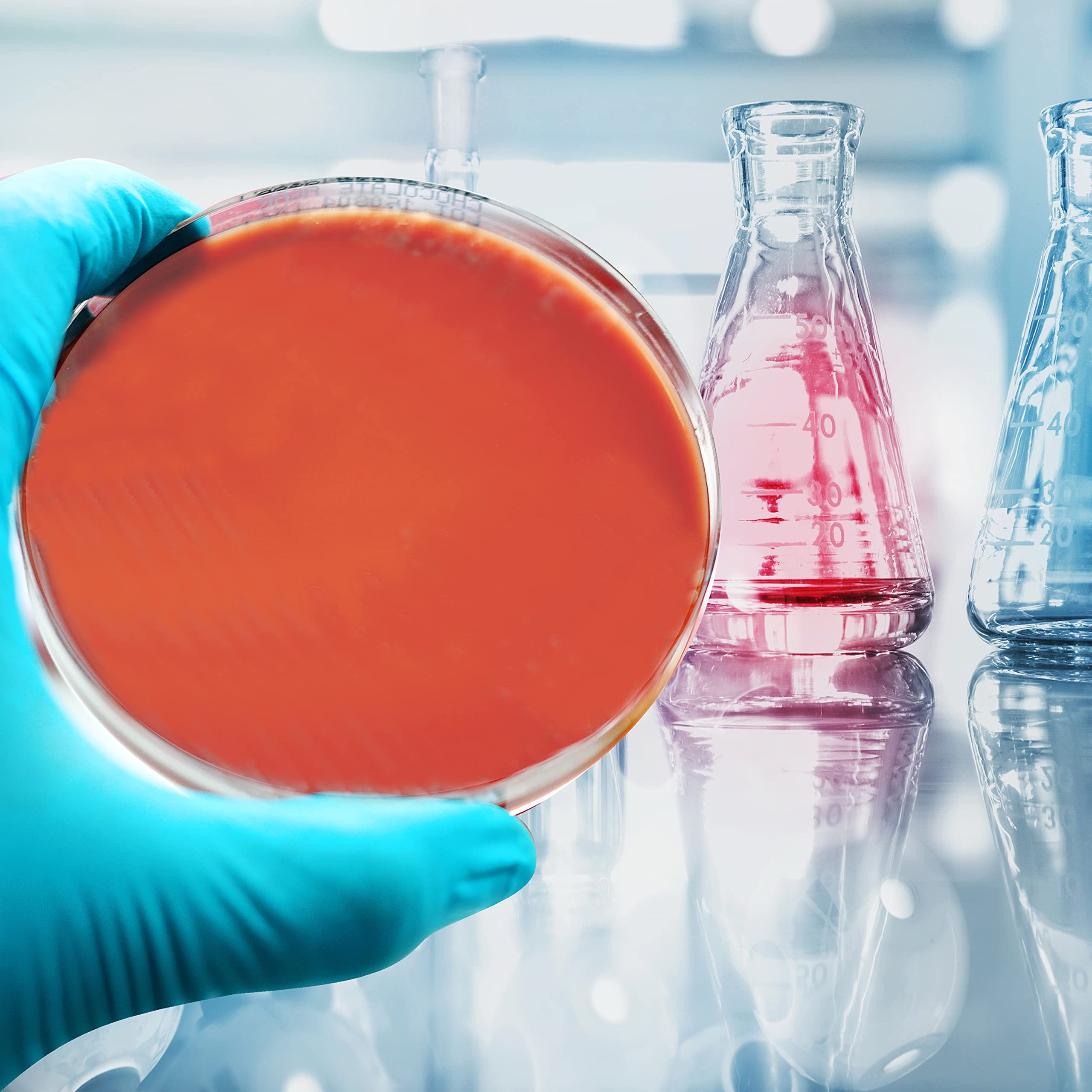 MacConkey Agar Plates - Evviva Sciences - 10 Prepoured MacConkey Agar Petri Dishes - Great for Science Fair Projects