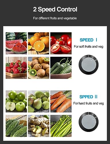 Juicer Machine, 800W Centrifugal Juicer Extractor with Wide Mouth 3β Feed Chute for Fruit Vegetable, Easy to Clean, Stainless Steel, BPA-free (Black)