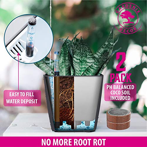 GARDENIX DECOR 5" Self Watering pots for Indoor Plants - Flower Pot with Water Level Indicator for Plants, Grow Tracking Tool - Self Watering Planter Plant Pot β 2 Pack Gray