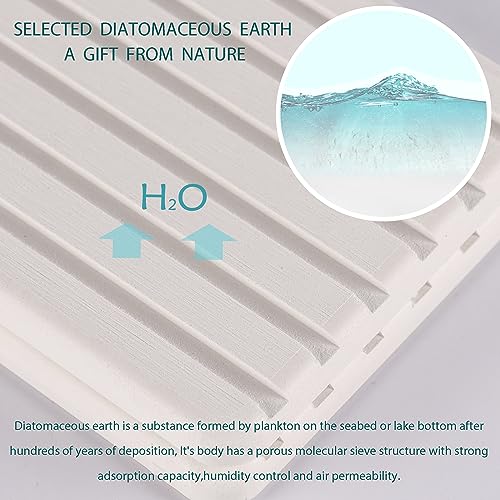 Instant Dry Sink Organizer(8.27" X 3.94"), Diatomaceous Earth Kitchen Soap Tray Set of 2, Storage Rack Under Sink in The Modern Home