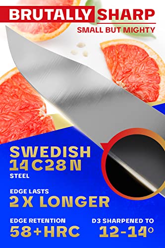Dalstrong Paring Knife - 3.5 inch - Centurion Series - Swedish 14C28N High - Carbon Stainless Steel Kitchen Knife - G10 Handle - Fruit, Vegetable, Meat - Cooking Chef's Knife - w/Sheath
