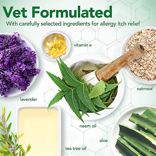 Vet's Best Allergy Itch Relief Spray for Dogs | Soothes Dog Dry Skin | Relieves The Urge to Itch, Lick, and Scratch | 8 Ounces