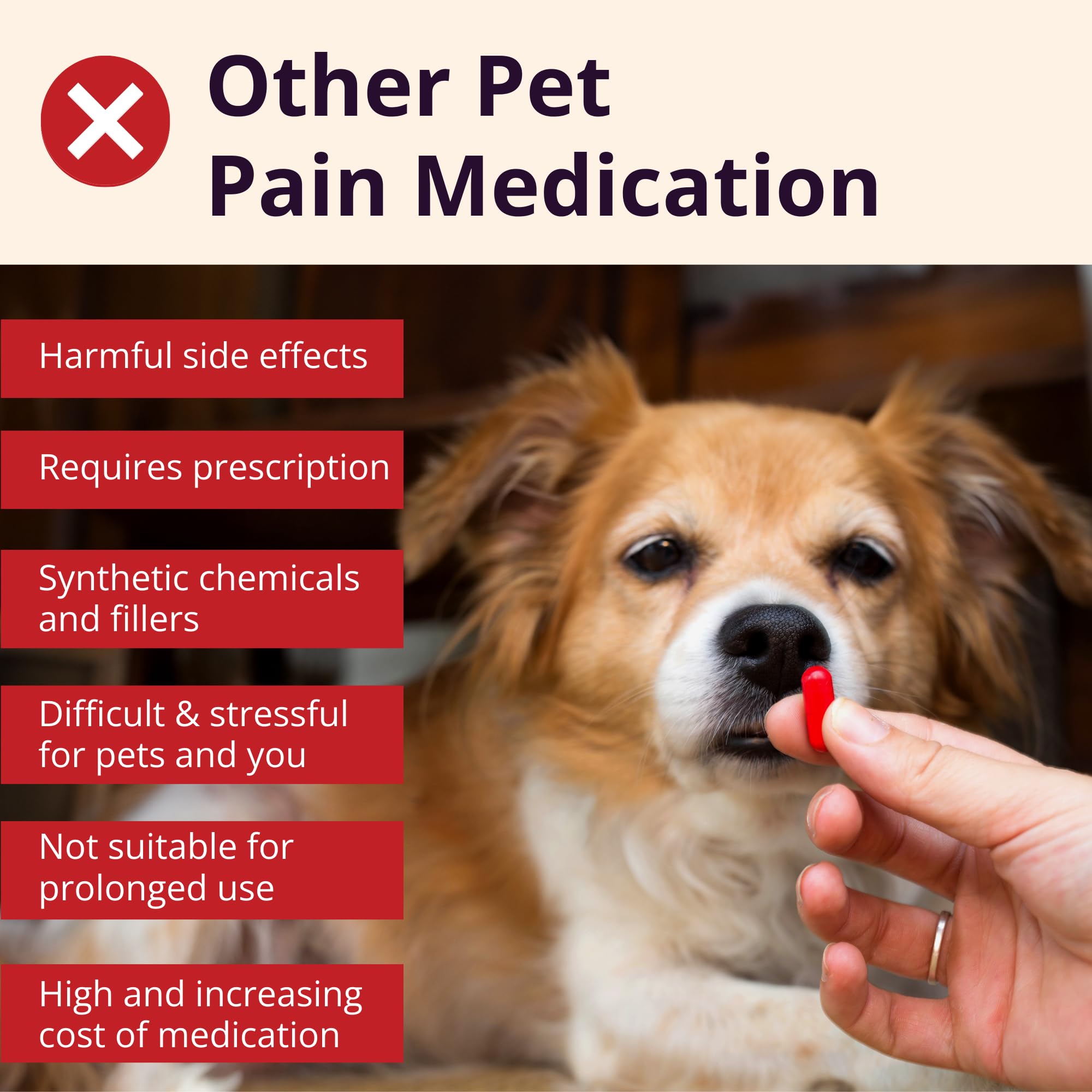 Glacier Peak Holistics HerbAprin - Natural Pain Relief for Dogs, Organic Herb Blend for Arthritis, Aches & Pains, and Hip & Joint Discomfort - 3oz