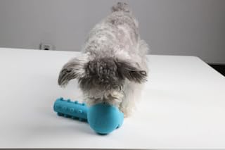 iPetz Dog ChewPod (Large/ExtraLarge)