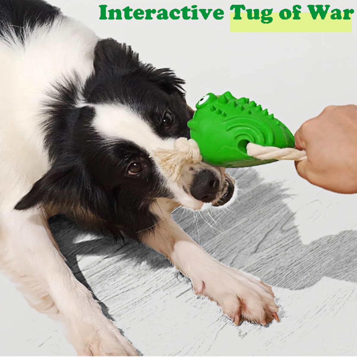 Generic New Indestructible Robust Rubber & Cotton Toad Dog Toy for Aggressive Chewers,Toad Shape Unbreakable Interactive Dog Chew Toys, Chew-Resistant Toad Squeaky Dog Toy for Teeth Cleaning, Green
