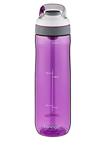Contigo AUTOSEAL Cortland Water Bottle, 24 oz, Radiant Orchid