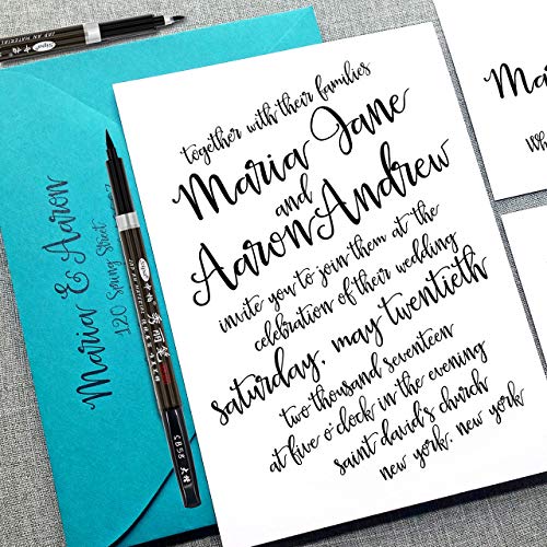 Rilanmit Calligraphy Pens Set for Beginners, Hand Lettering Pens Brush Drawing Markers Kits Chinese Japenese Pens Black Ink for Journaling, Writing, Art Drawing, 3 Size(Pack of 6)