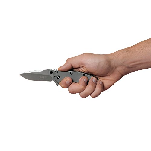 Kershaw Cryo Knife, 2.75" Stainless Steel Drop Point Blade, Assisted Opening Everyday Carry Pocket Knife