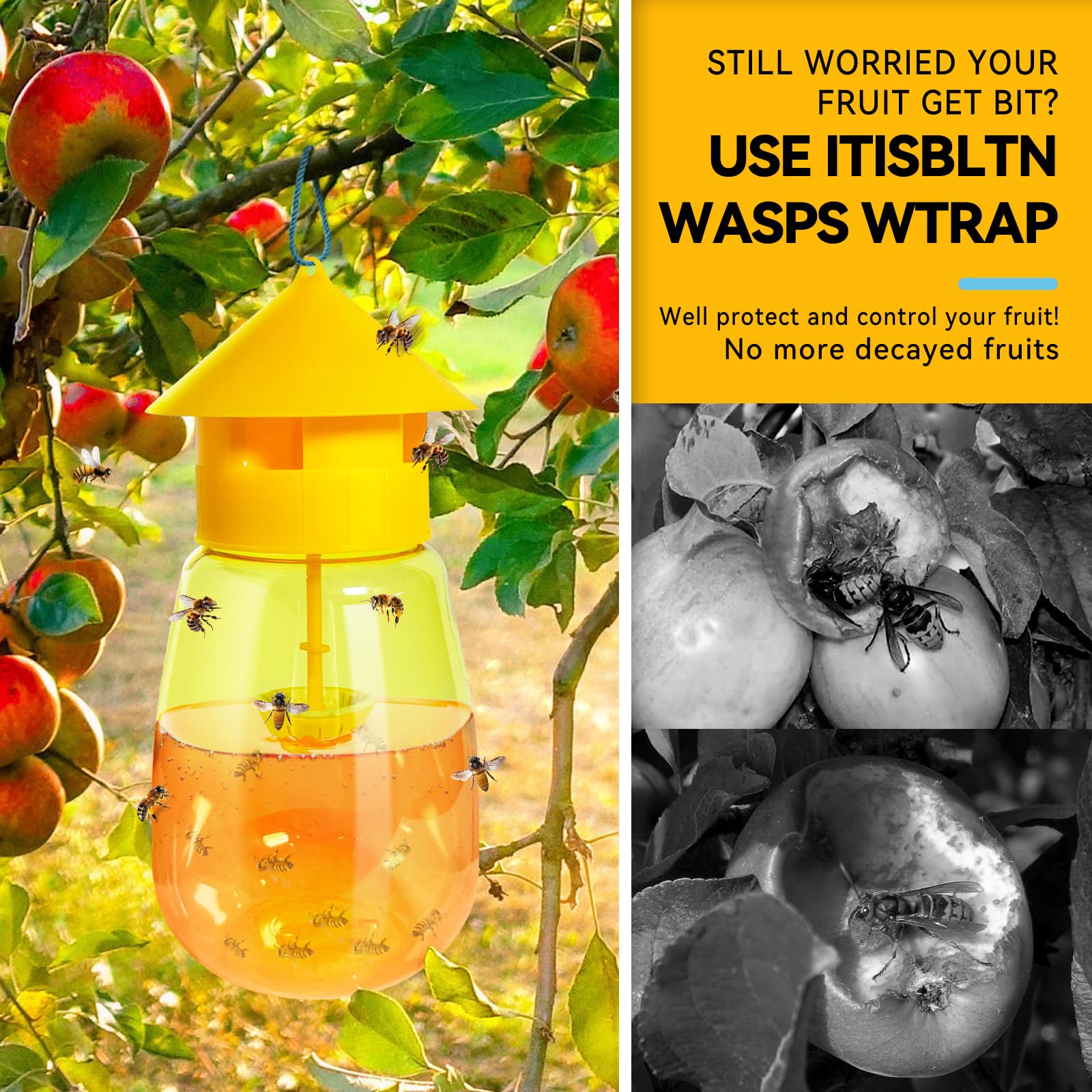 ITISBLTN 2 Packs Wasp Trap β Extra Large Yellow Jacket Trap Reusable Outdoor Hanging Ground Bee Wasps Killer Traps for Outside Garden, Patio, Backyard, Camping