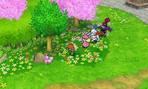 Popolocrois farm