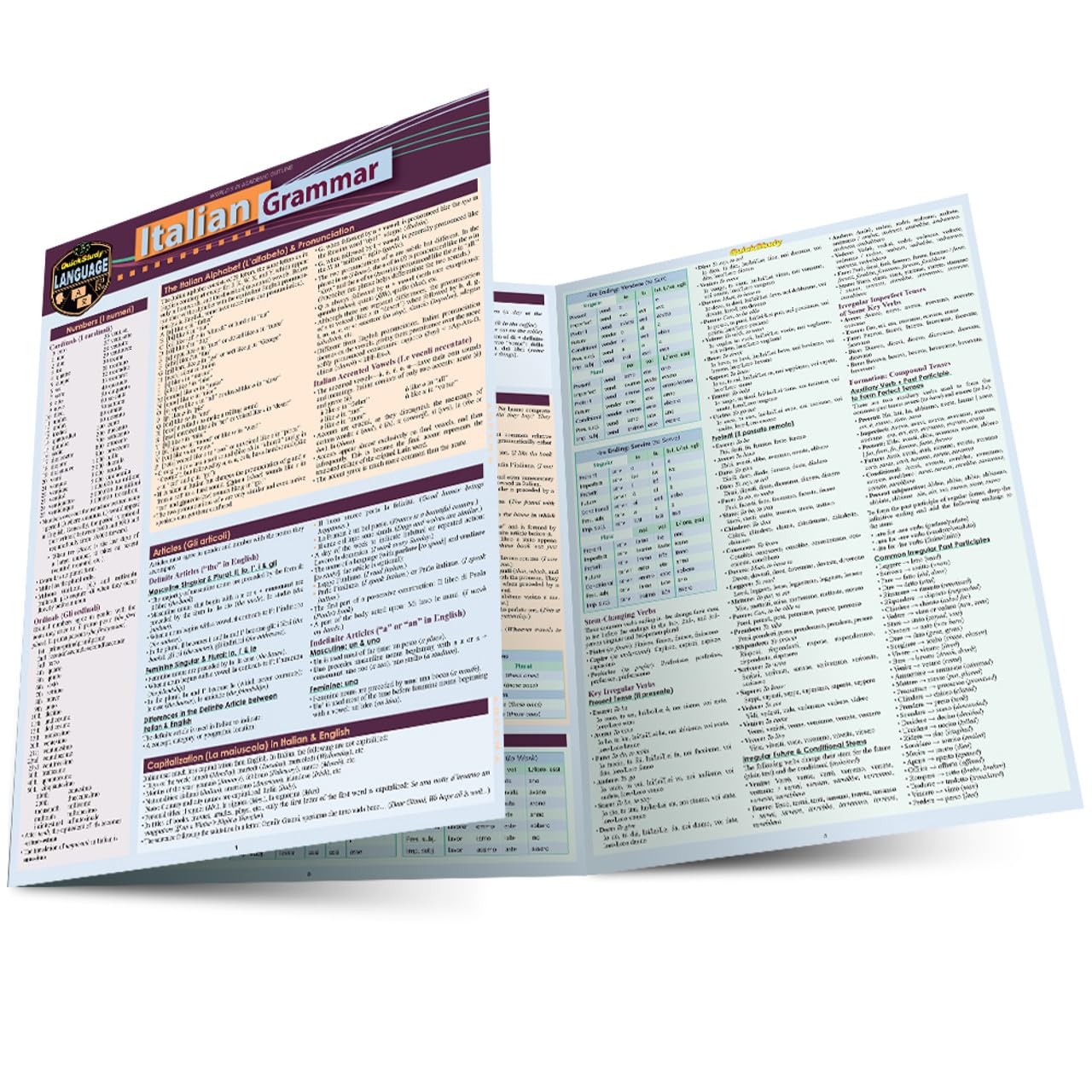 Italian Grammar: a QuickStudy Laminated Language Reference Guide (QuickStudy Language)