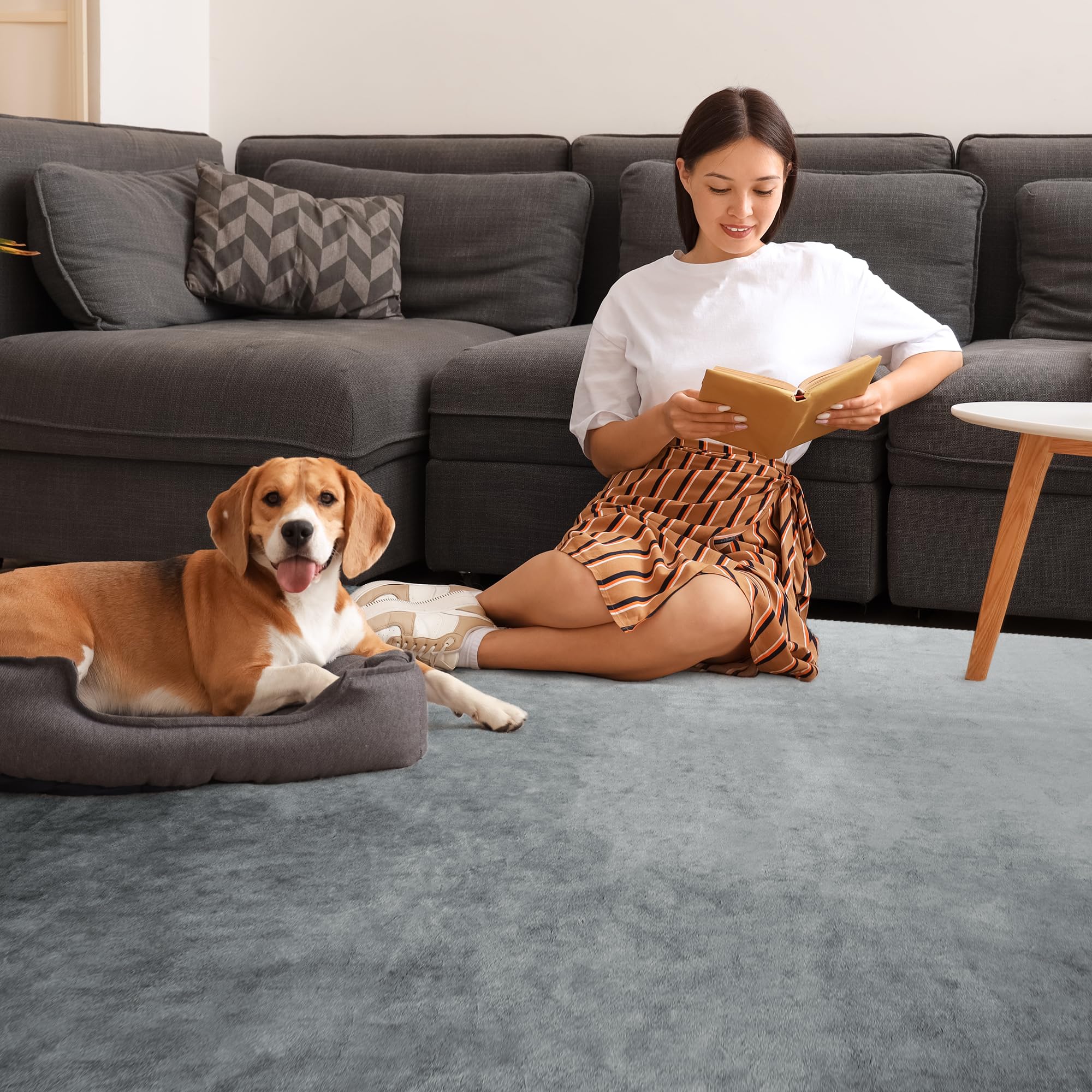 HOMBYS 12x15ft Large Area Rug for Living Room Bedroom, Fluffy Soft Floor Carpet with Non-Slip Backing for Indoor Office, Solid Home Deco Non-Shedding, Khaki, Machine Washable