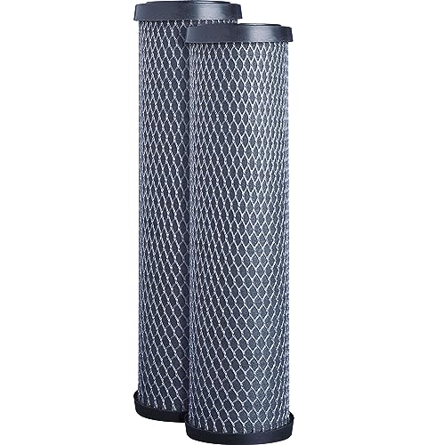 GE FXWTC Whole House Water Filter | Replacement for Water Filtration System | NSF Certified: Reduces Chlorine, Sediment, Rust & Other Impurities | Replace Every 3 Months for Best Results | 2 Filters