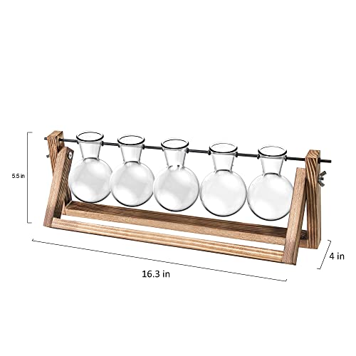 Ivolador Desktop Glass Bulb Plant Terrarium with Retro Solid Wooden Stand and Metal Swivel Holder for Hydroponics Plants Home Garden Wedding Decor (5 Bulbs)
