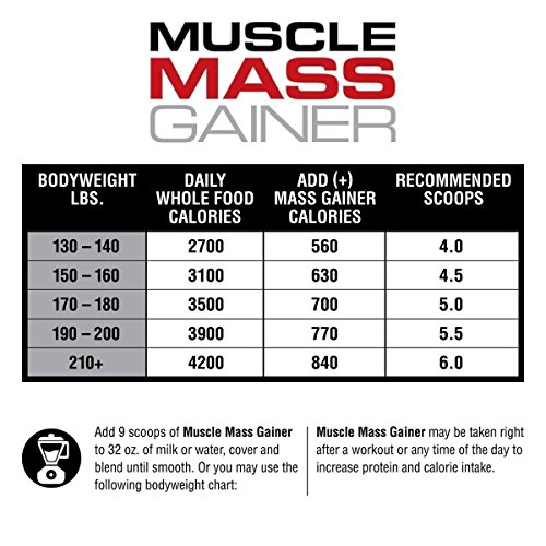 Labrada Nutrition Muscle Mass Gainer, Chocolate, 6 Pound (Packaging May Vary)
