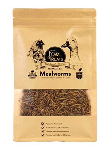 Fowl Treats Naturally Fortified Mealworms - Protein Rich Supplements Suitable for Hens and Ducks, Contains USA Grown Ingredients ā Helps with Bone Strength, Feathers & Molt ā 8oz