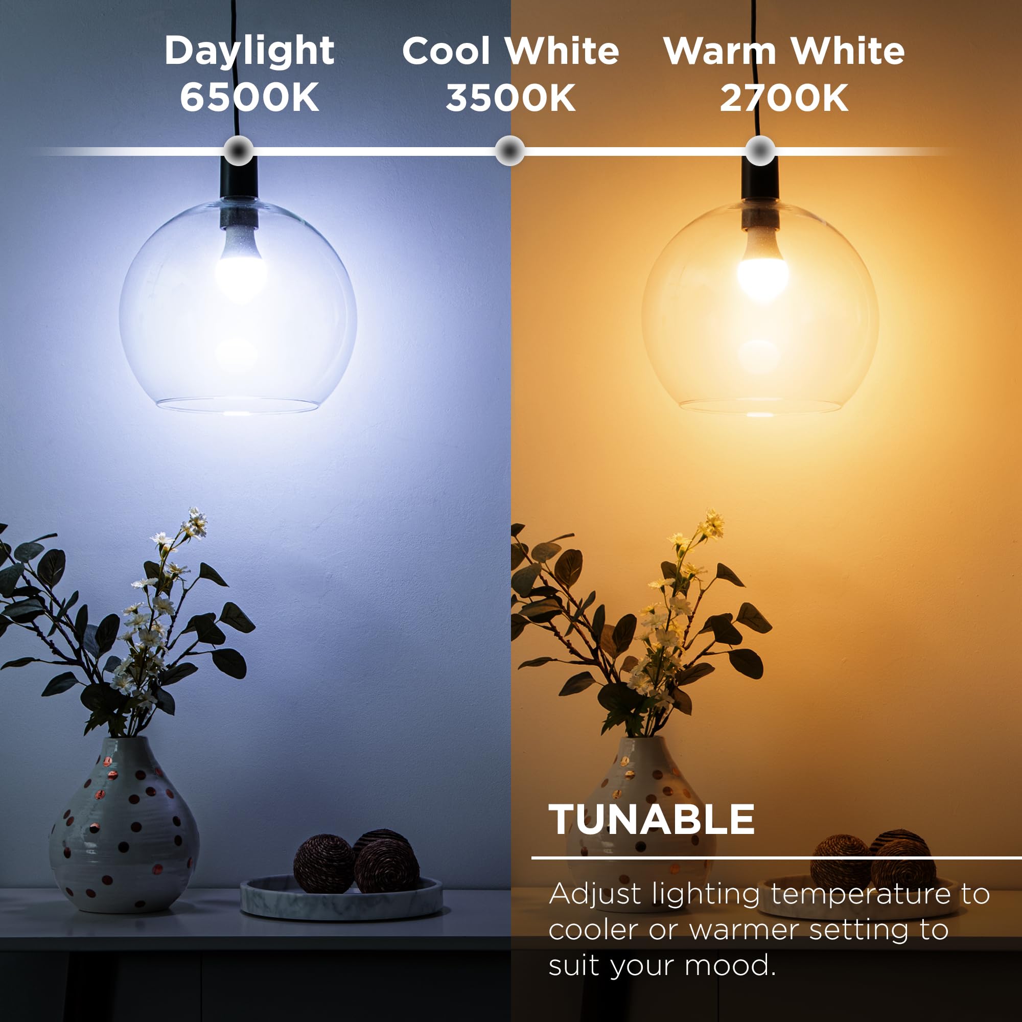 Merkury Smart Light Bulbs, 800 Lumen, WiFi RGBWW Color Changing LED Bulbs, Compatible with Alexa & Google Home, Dimmable Multicolor A19 Bulbs, No Hub Required, 6-Pack