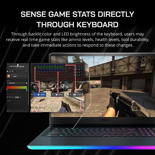 MSI 2022 GE76 Raider Gaming 17.3" Thin Bezel IPS FHD 144Hz Laptop, 12th Core i7-12700H, 64GB RAM, 4TB PCIe SSD, Backlit Keyboard, GeForce RTX 3060 6GB, FHD Webcam, Win11 Pro, Grey, 32GB USB Card
