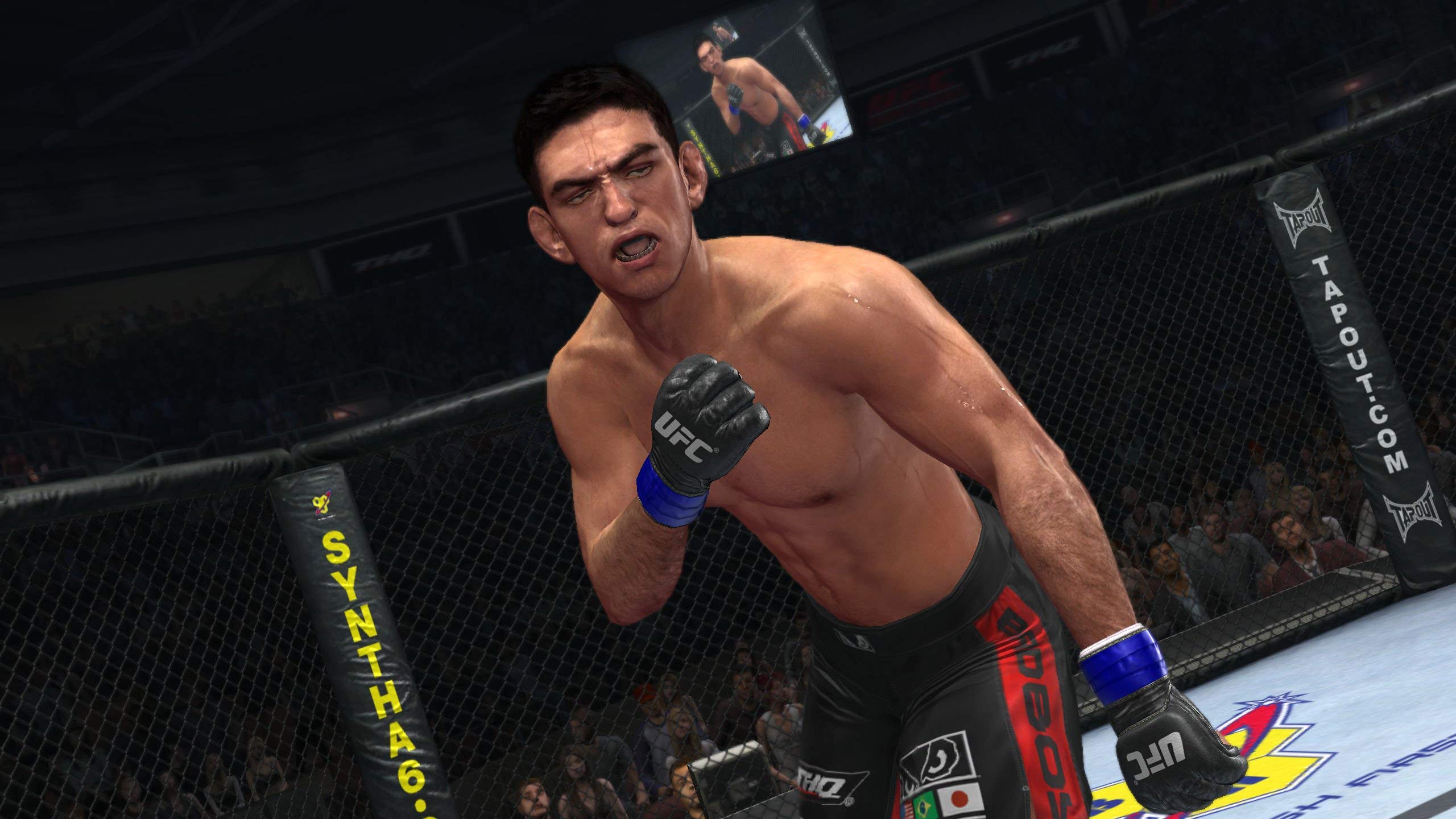 UFC Undisputed 2010 - Playstation 3 (Renewed)