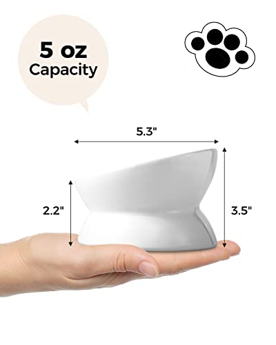 LoeJan Elevated Cat Food Bowl, 5 Oz Ceramic Raised and Tilted Water Bowl, Anti Vomiting and Protect Pets' Spines Dishes for Small Dog, Fat Faced Cat, Kitten (White, 1 Pack)