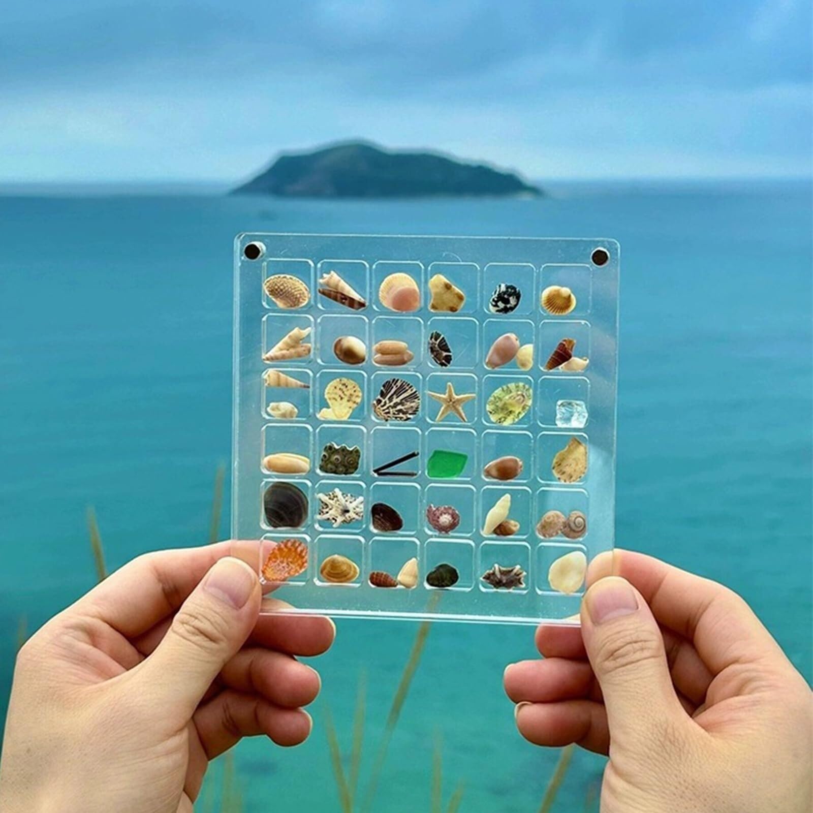 SISIRONG Acrylic Magnetic Seashell Display Box,2024 New 36/64/100 Grids Clear Acrylic Seashell Display Box,Small Craft Organizers Container for Bead, Nail, Jewelry ( Color : 100 Grids ), 1233344
