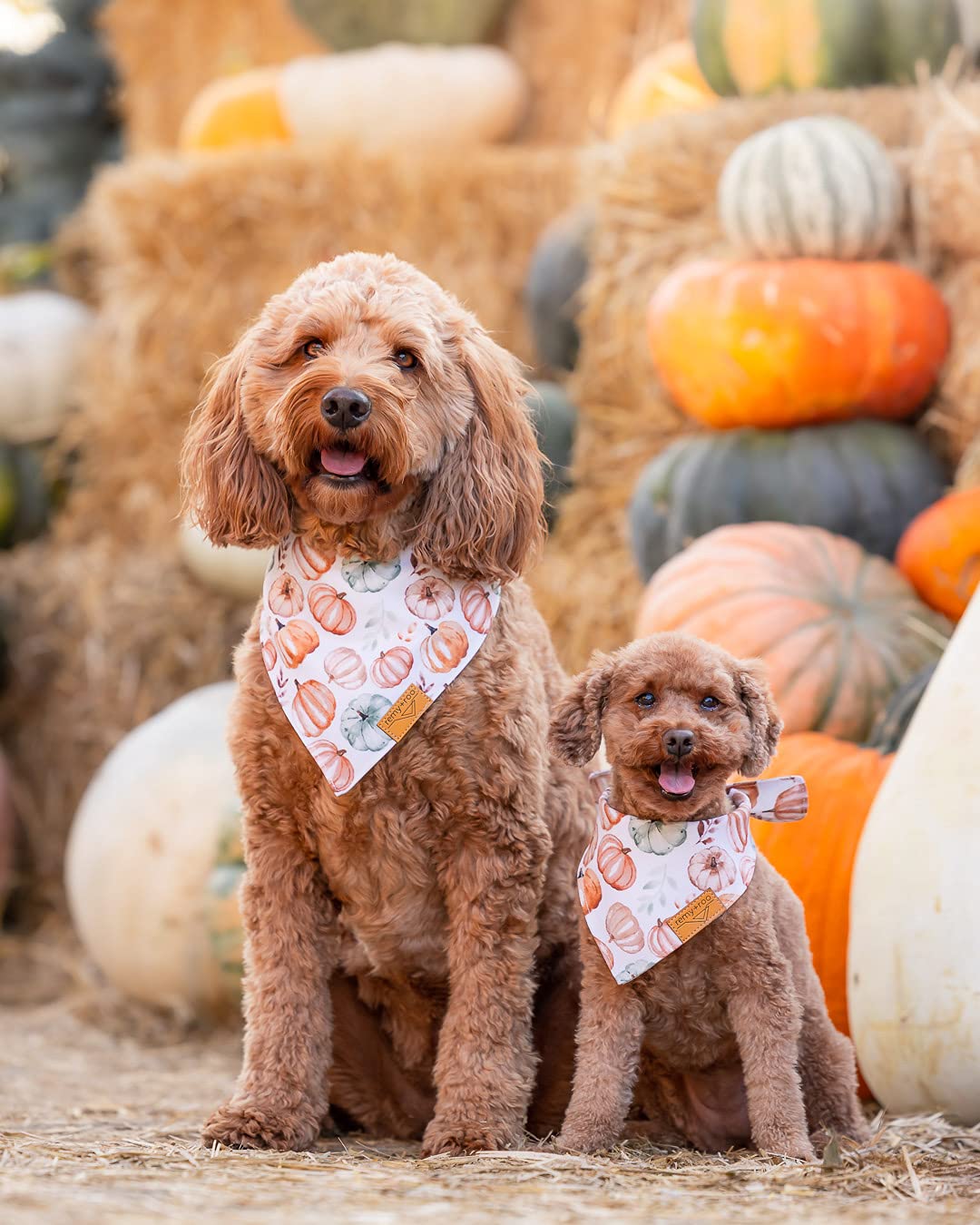 Remy+Roo Fall Dog Bandanas 4 Pack - Amber Set, Premium Durable Polyester Fabric, Patented Curved Design, Adjustable Fit for Small, Large, and XL Dogs, Trendy Patterns, Dog Fall Bandanas (Small)