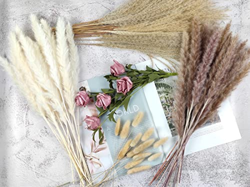 Pampas Grass Boho Home Decor, 75Pcs Natural Dried Carefully Hand-Picked Fluffy Pompas Grass 17", White & Brown Pampas Grass, Reed, Bunny Tails for Flower Arrangements Boho Wedding Home Décor