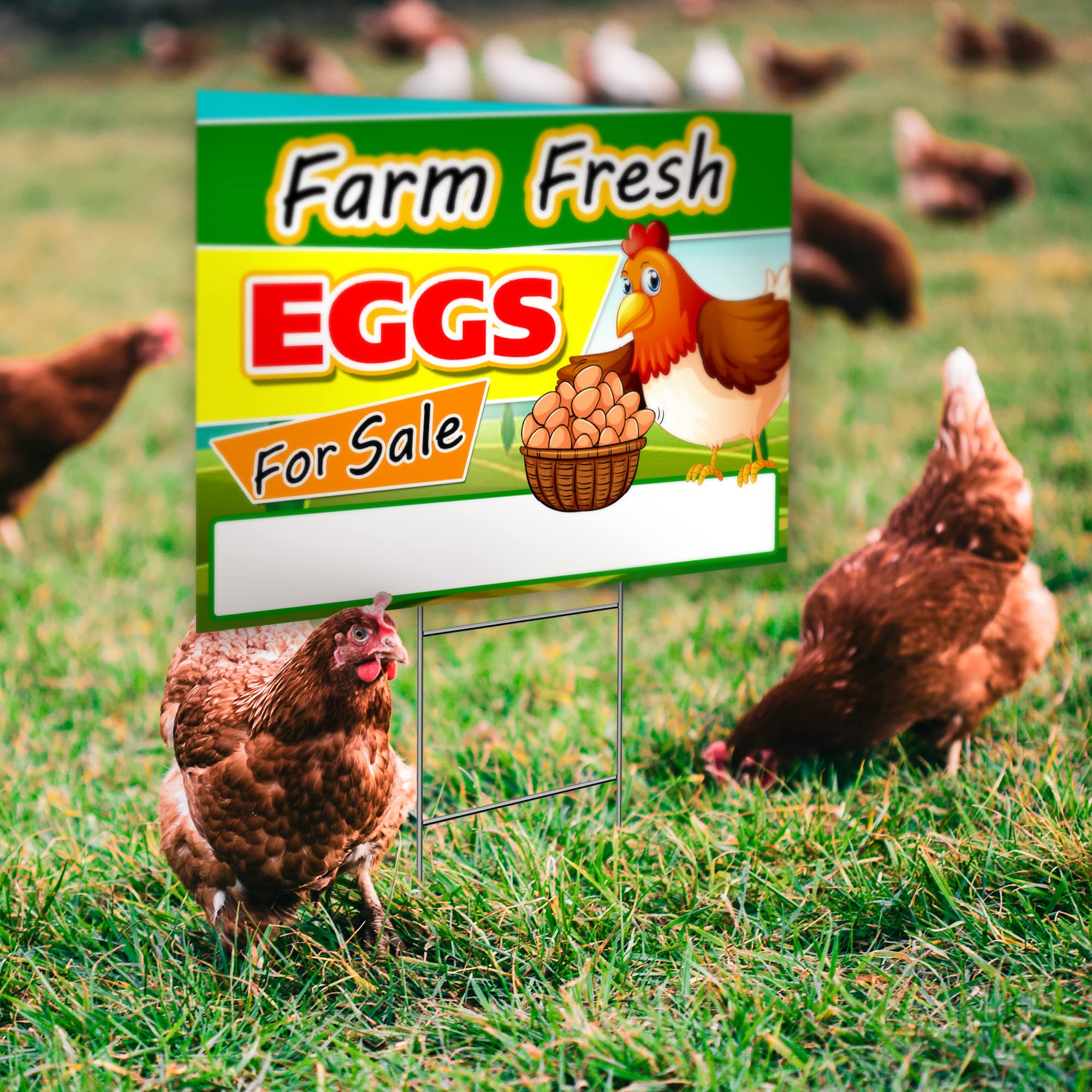 Fresh Eggs for Sale Sign - 18 x 24 Double Sided Coroplast Large Eggs for Sale Sign - Farm Fresh/We Sell Eggs Sign Outdoor Yard