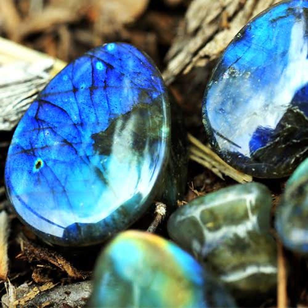 Covet Jewelry AAA Grade Natural Labradorite Double Flare Teardrop Plug (1/2")