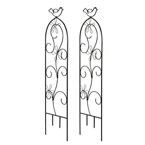 Hosley Set of 2 Iron Wave Pot Trellis 28 Inch High. Ideal Gift for Wedding or Party and Use Next to Structures Home or Office or in Planters for Growing Floral Plants Vines and Vegetables O4