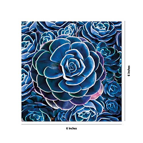 Origami Paper 500 sheets Succulents 6" (15 cm): Tuttle Origami Paper: Double-Sided Origami Sheets with 12 Different Photographs (Instructions for 6 Projects Included)