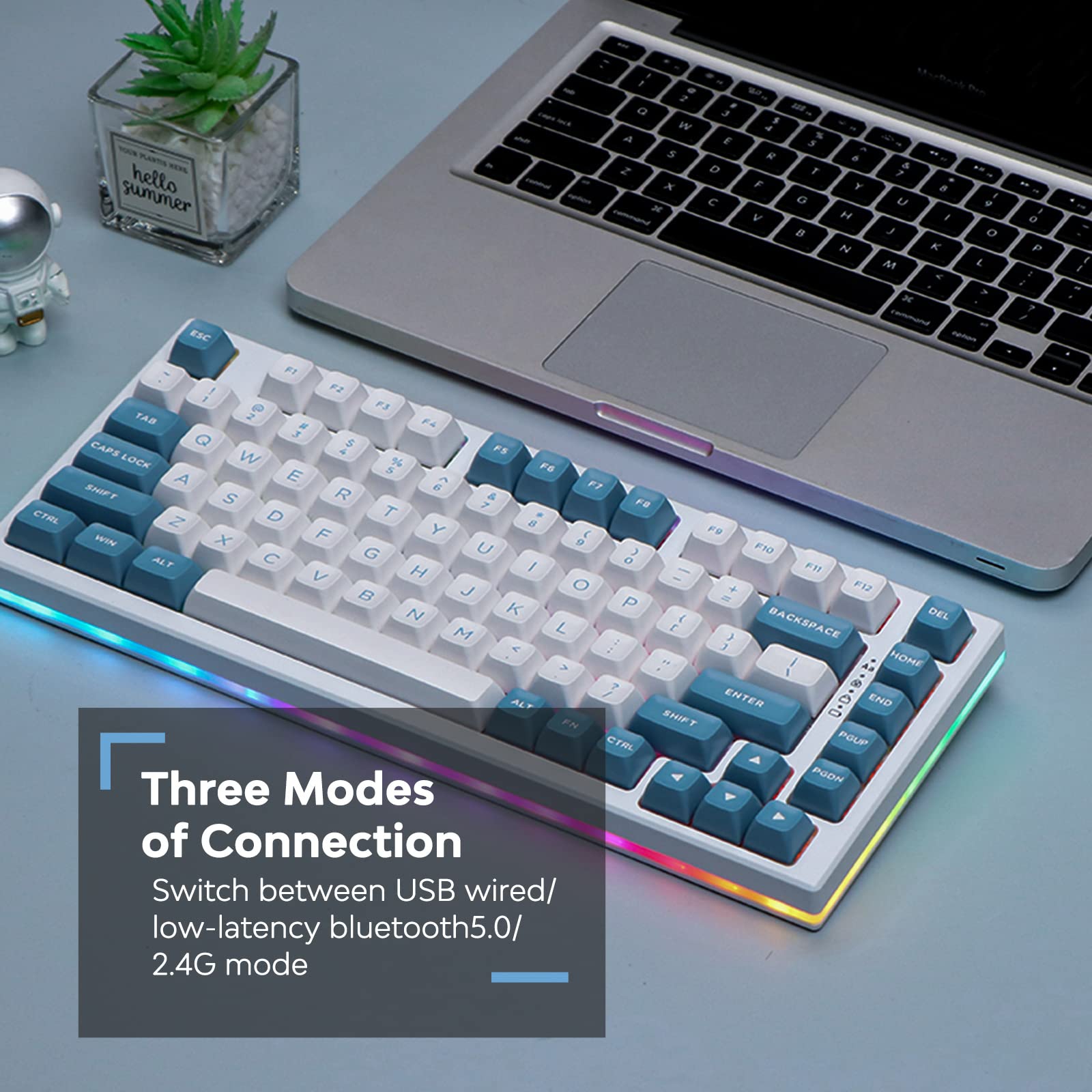 EPOMAKER EP75 75% Hot Swap BT5.0/2.4G/USB-C Wired Gaming Mechanical Keyboard with 10000mAh Battery, RGB Backlights, Double Shot PBT Keycaps for Linux/Win/Mac(Pampas, Flamingo Switch)
