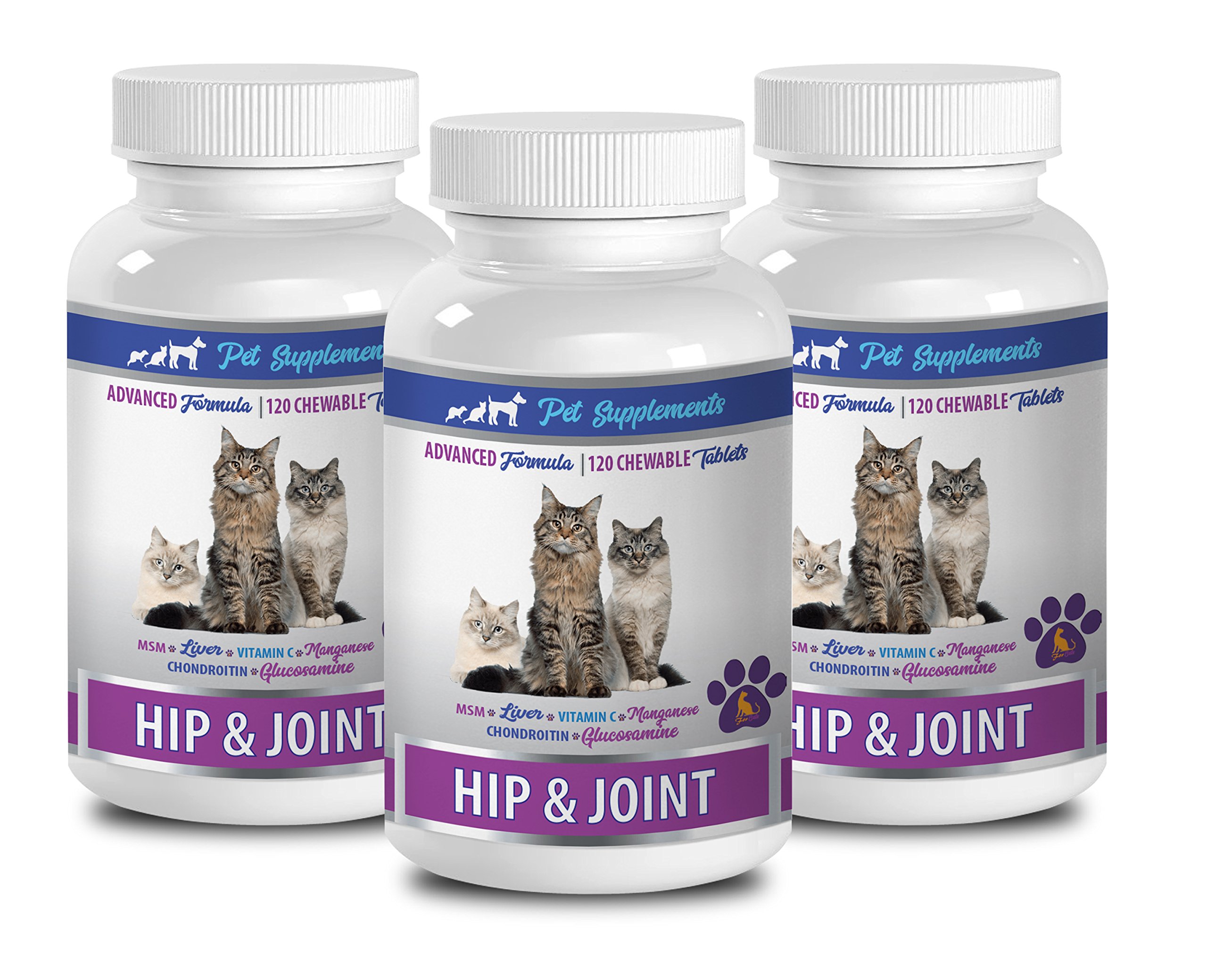 Joint Pain Cats - Hip and Joint - for Cats - Health and Care - CHEWABLE - Joint Supplements Cats - 3 Bottle (360 Chews)