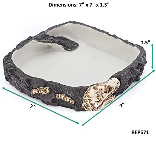 Penn-Plax Reptology Reptile Fossil Rock Food/Water Dish β Great for Bearded Dragons, Geckos, Chameleons, Snakes, Hermit Crabs, and Many More β Large