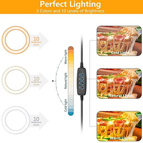 Selfie Ring Light with Stand and Phone Holder,Overhead Phone Mount with 10.5" Ring Lights,Desk Circle Lingt with Tripod Adjustable Shooting Arm for Video Recording,YouTube,TikTok,Live Streaming