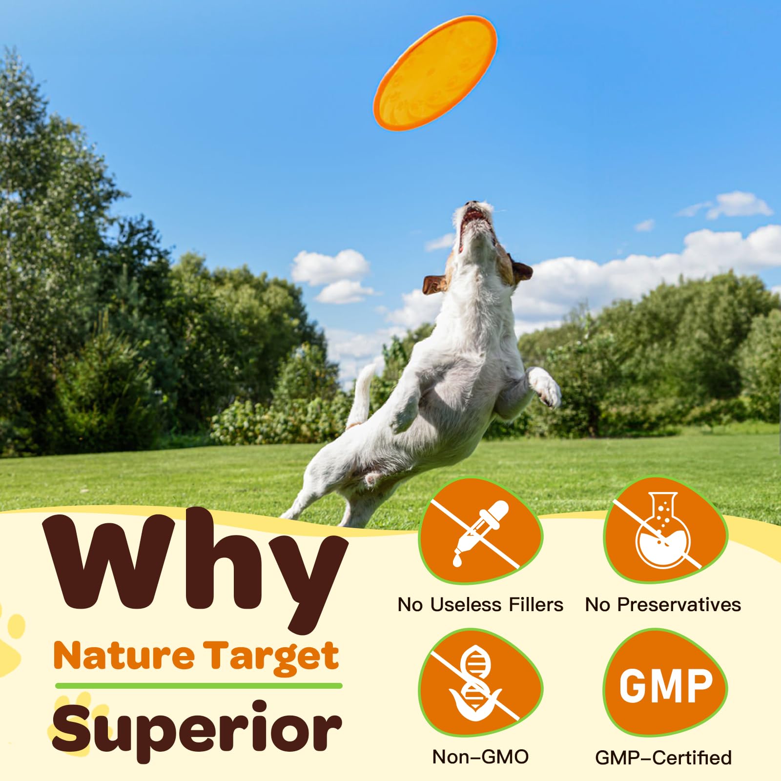 Glucosamine for Dogs - Joint Supplement for Dogs, Chondroitin, MSM, Turmeric, Omega 3 for Dogs, Support Hip and Joint Mobility - Dog Joint Pain Relief, Dog Joint Supplement Large Breed, 9.52 Oz
